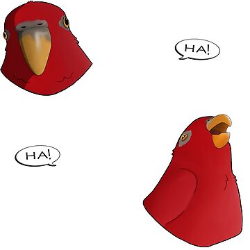 Red Laughing Bird