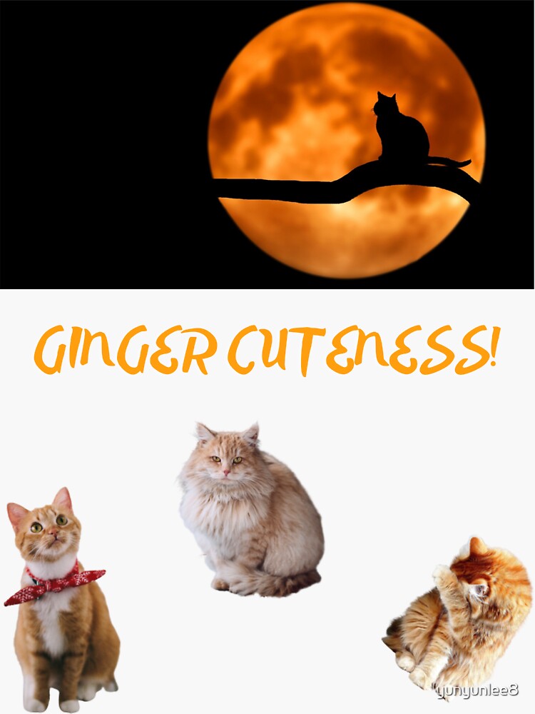 "Cute Ginger Cat Stickers" Sticker for Sale by yunyunlee8 | Redbubble