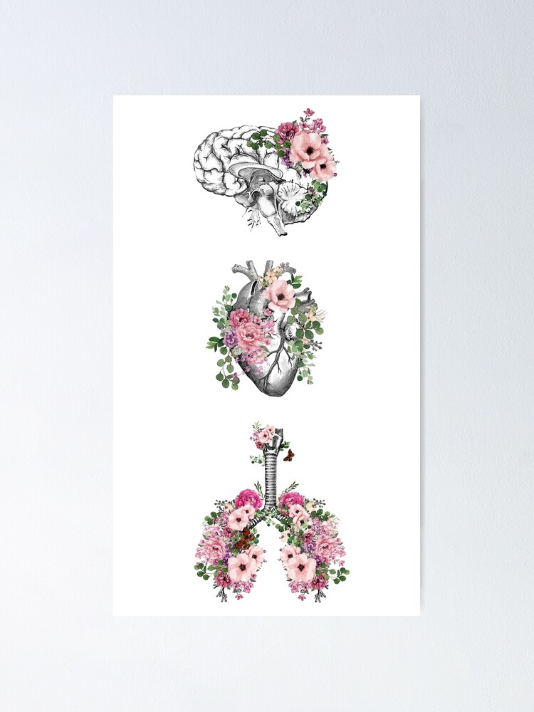 "human organs, art with floral anatomy, botany, heart, lungs and brain ...
