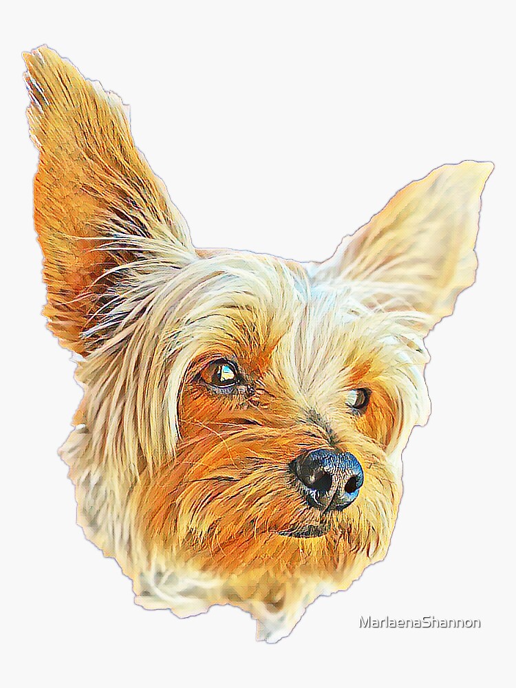 "Archie face" Sticker for Sale by MarlaenaShannon | Redbubble