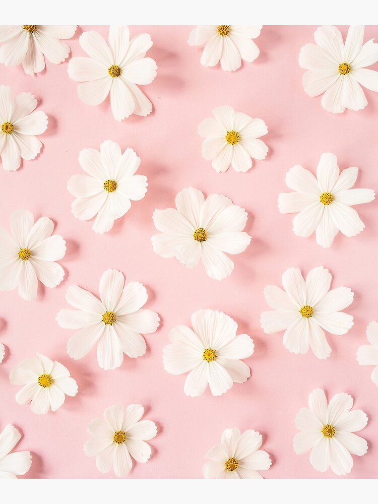 "Pink Floral Daisy Summer Theme | Floral | Summer Vibes" Art Print by ...