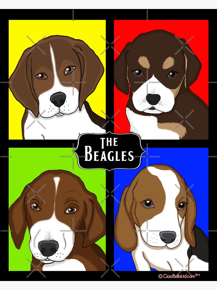 "Meet The Beagles!" Sticker for Sale by CiaoBellaLtd | Redbubble