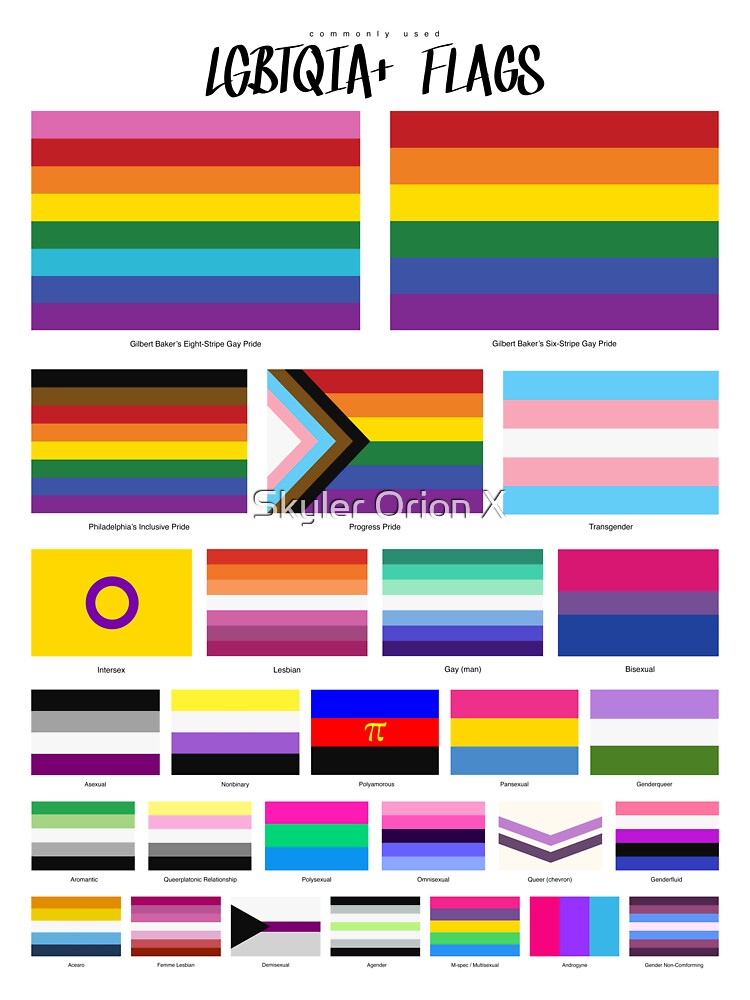 "commonly used LGBTQIA+ Flags" Sticker for Sale by fc13empire | Redbubble