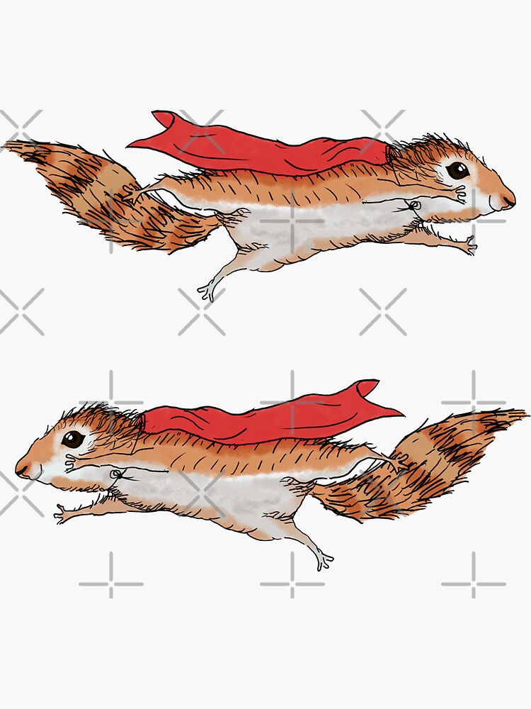 "Super Squirrel Double Sticker" Sticker for Sale by TheSleepyCat ...