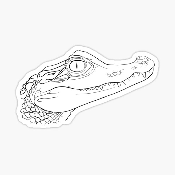 "Alligator line drawing" Sticker for Sale by Swoerle | Redbubble