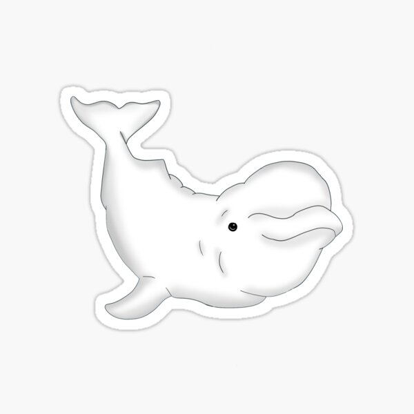 "Beluga Whale" Sticker for Sale by NancyMaeDesgins | Redbubble