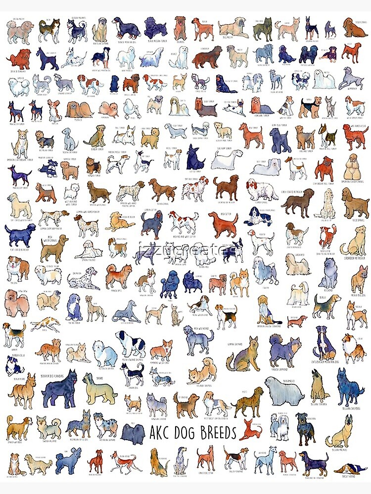 Every AKC Dog Breed Premium Matte Vertical Poster sold by Minaret ...