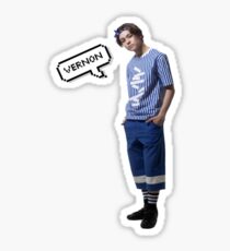 Seventeen: Pegatinas | Redbubble