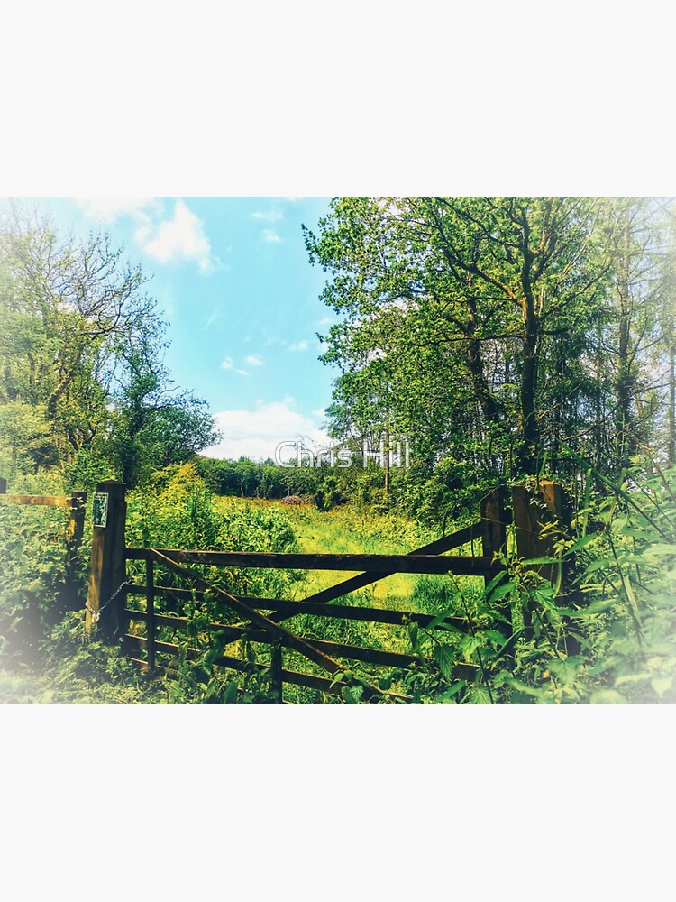 "Castle Lane" Sticker by Seashore-craft | Redbubble