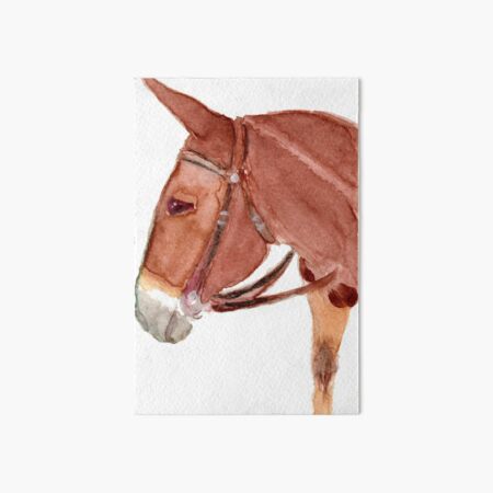 "Red Long Ear Mule" Art Board Print by cindyatcvhr | Redbubble