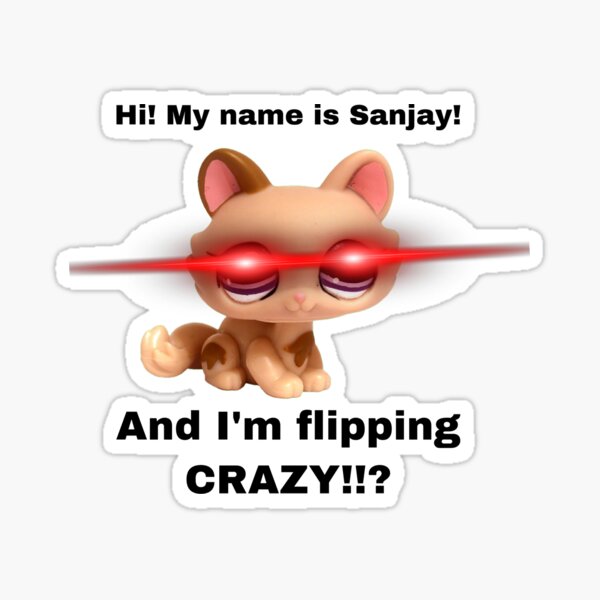 "Littlest pet shop hi my name is Sanjay and I’m flipping crazy meme ...
