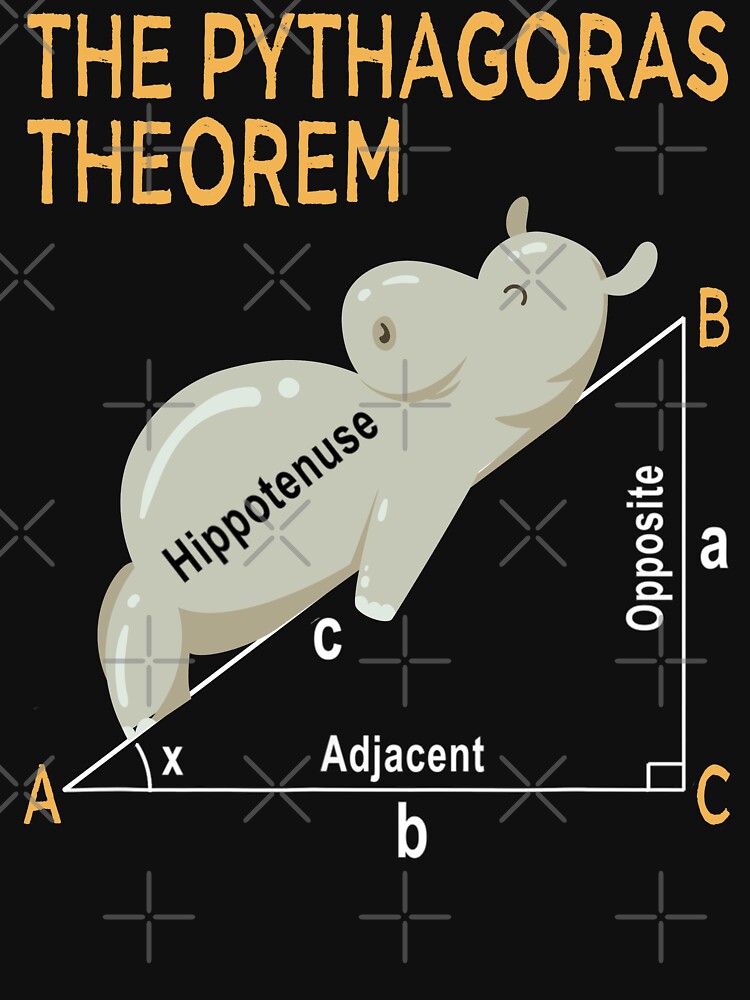 "Funny Pythagoras - Hypotenuse aka Hippotenuse | Math jokes" T-shirt ...