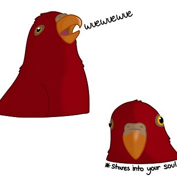 "Red Bird Staring Meme" Sticker for Sale by Moni-Makes-Art | Redbubble