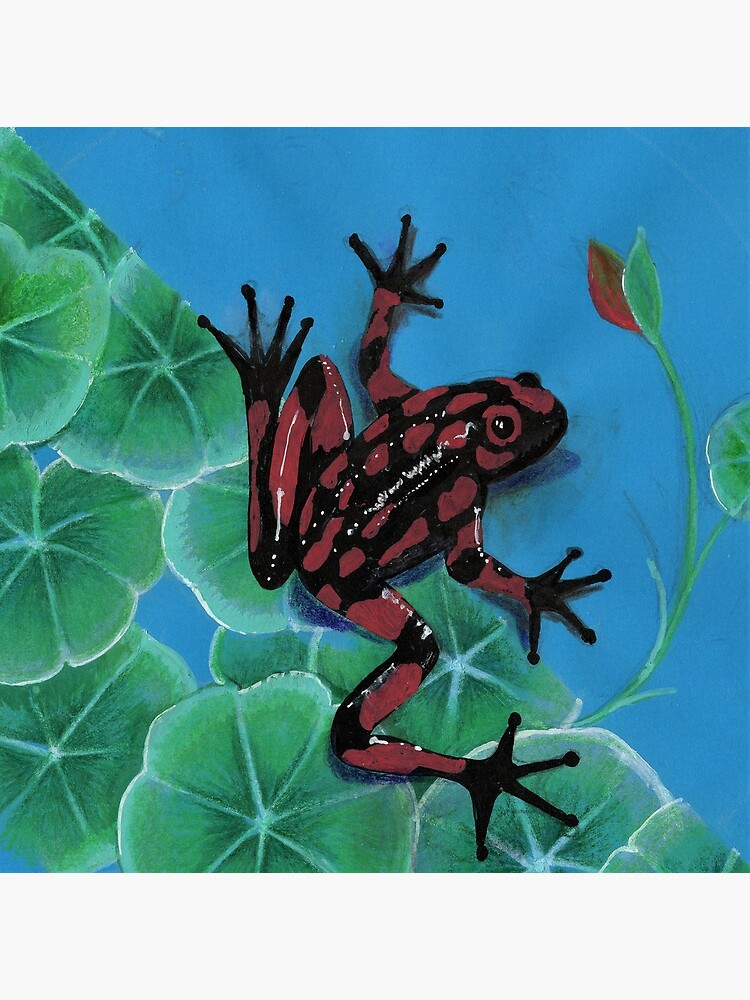 "Poison Dart Frog" Poster for Sale by KellieJoanArt | Redbubble