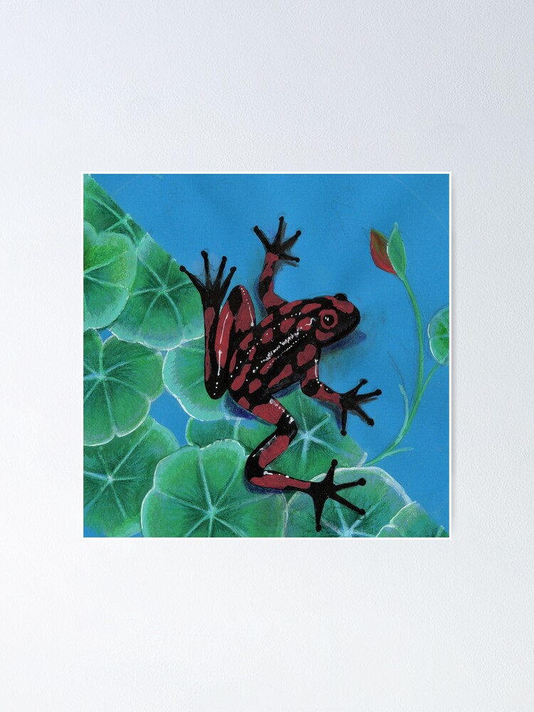 "Poison Dart Frog" Poster for Sale by KellieJoanArt | Redbubble