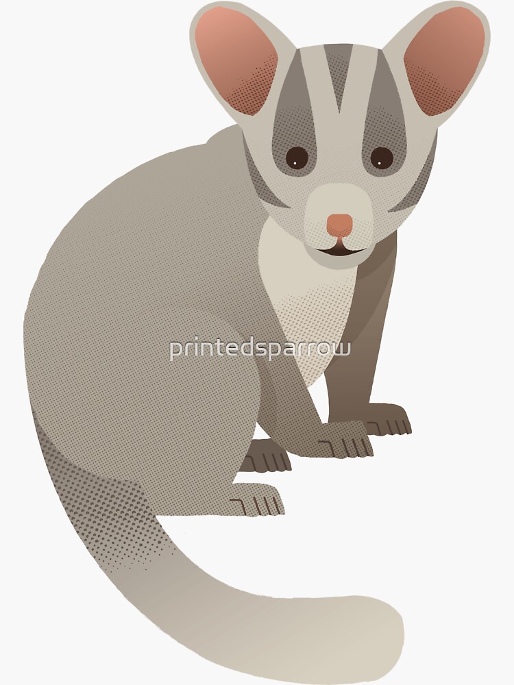 "Leadbeater Possum, Animal of Victoria, Australia" Sticker for Sale by ...