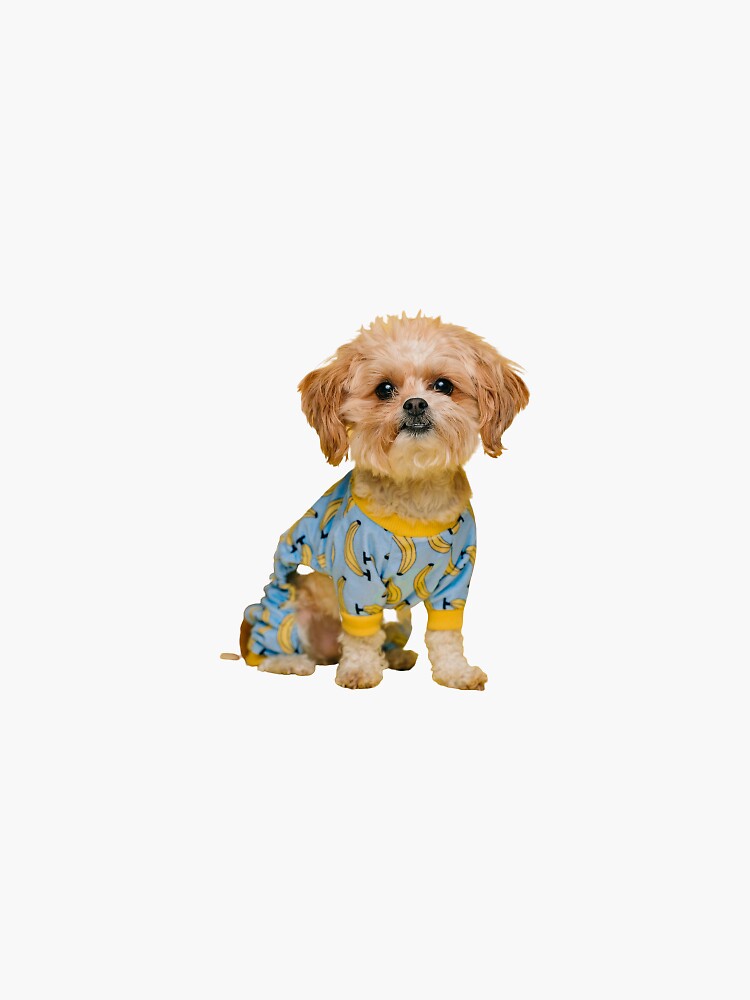 "cute yellow dog sticker" Sticker for Sale by atolixa | Redbubble