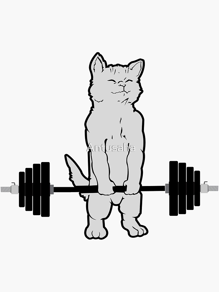 "Cat Weightlifting Powerlifting Deadlift Fitness Gym Workout " Sticker ...