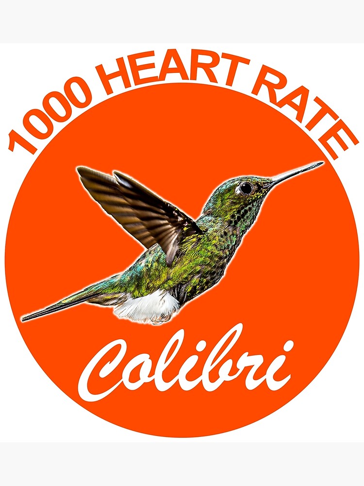 "Colibri" Poster by Andrey-Al | Redbubble
