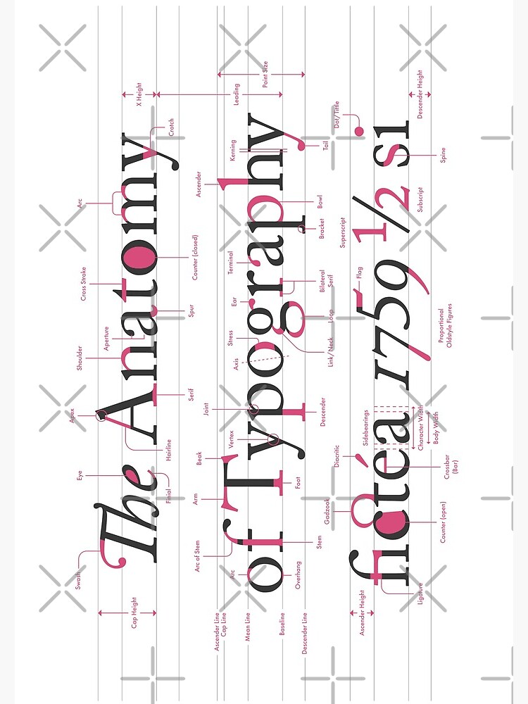 "The Anatomy of Typography" Journal for Sale by pennyandhorse | Redbubble