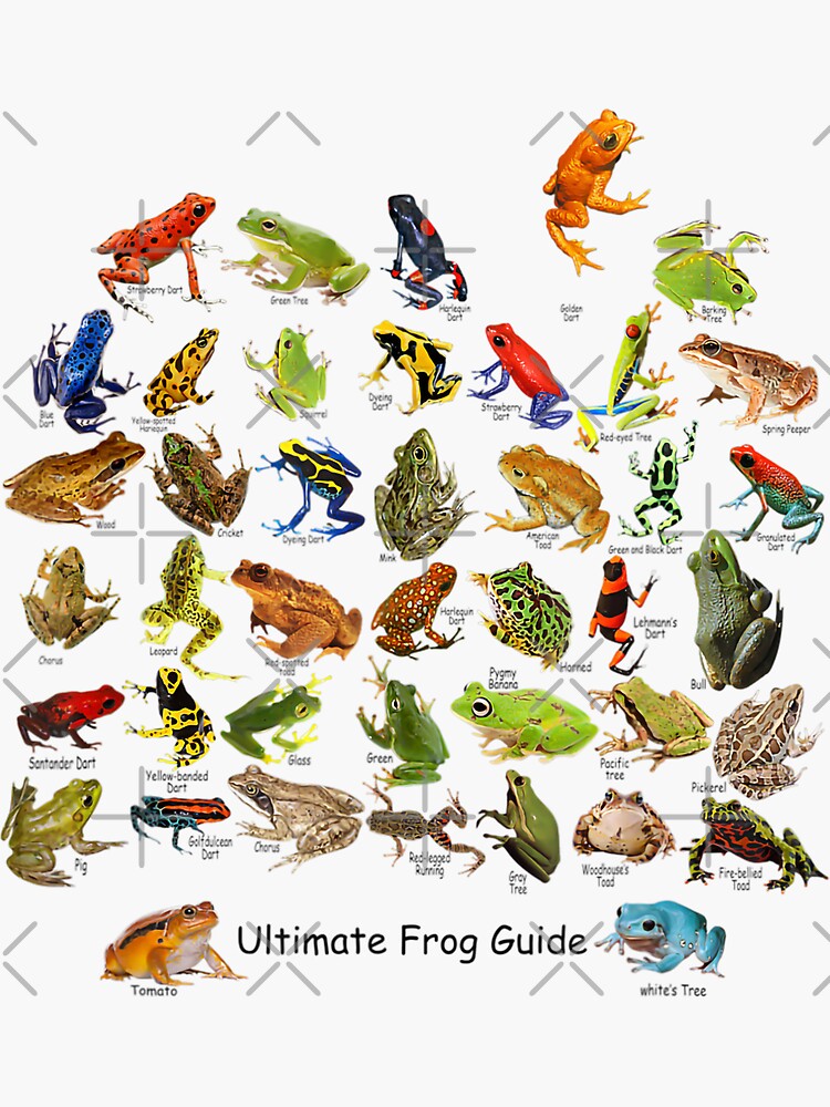 "Ultimate Frog Guide" Sticker for Sale by Prettygrafik | Redbubble