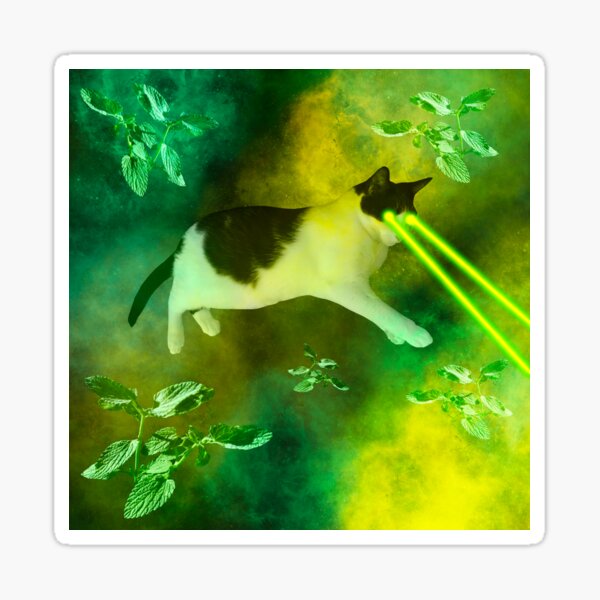 "Catnip adventure" Sticker for Sale by Shramplet | Redbubble