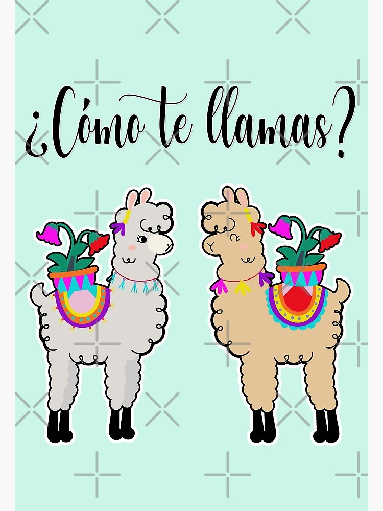"Como Te llamas Spanish Teacher Students Llamas Lovers Souvenirs ...
