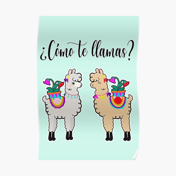 "Como Te llamas Spanish Teacher Students Llamas Lovers Souvenirs ...