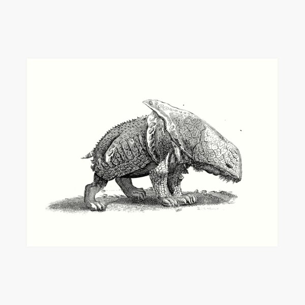 Bulette Art Prints | Redbubble