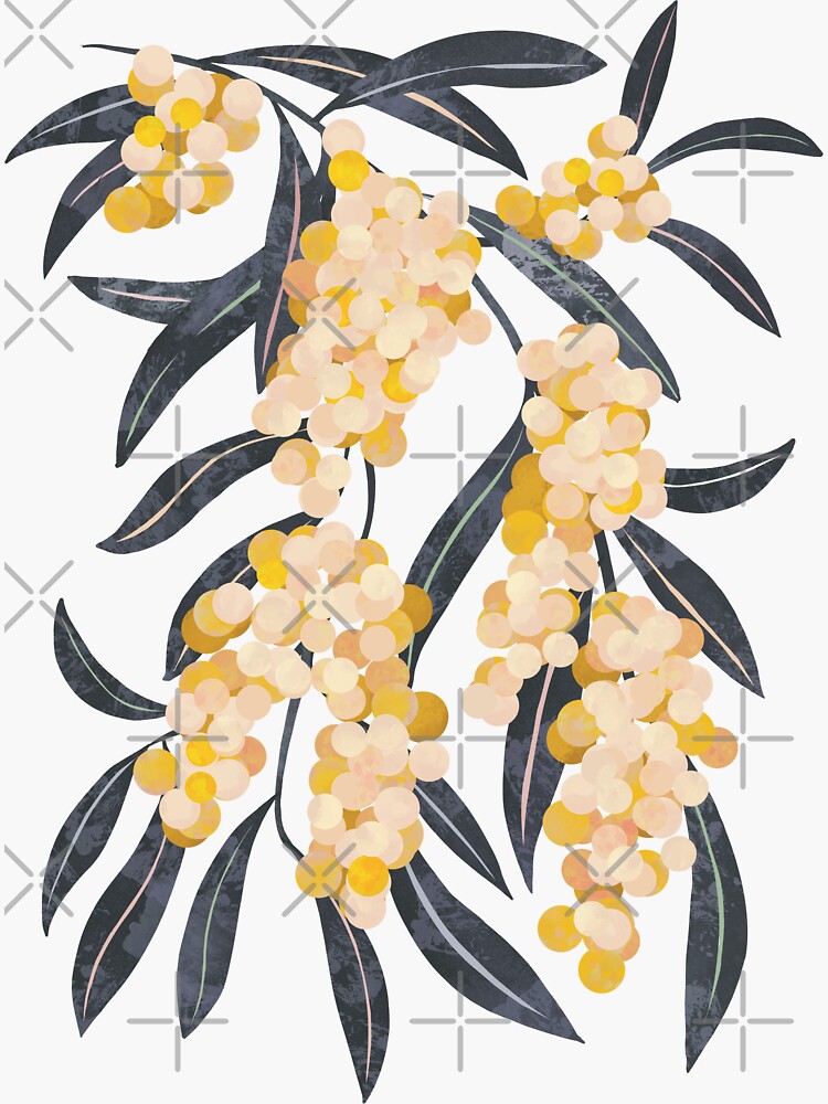 "Mediterranean plants" Sticker for Sale by Elbuenlimon | Redbubble