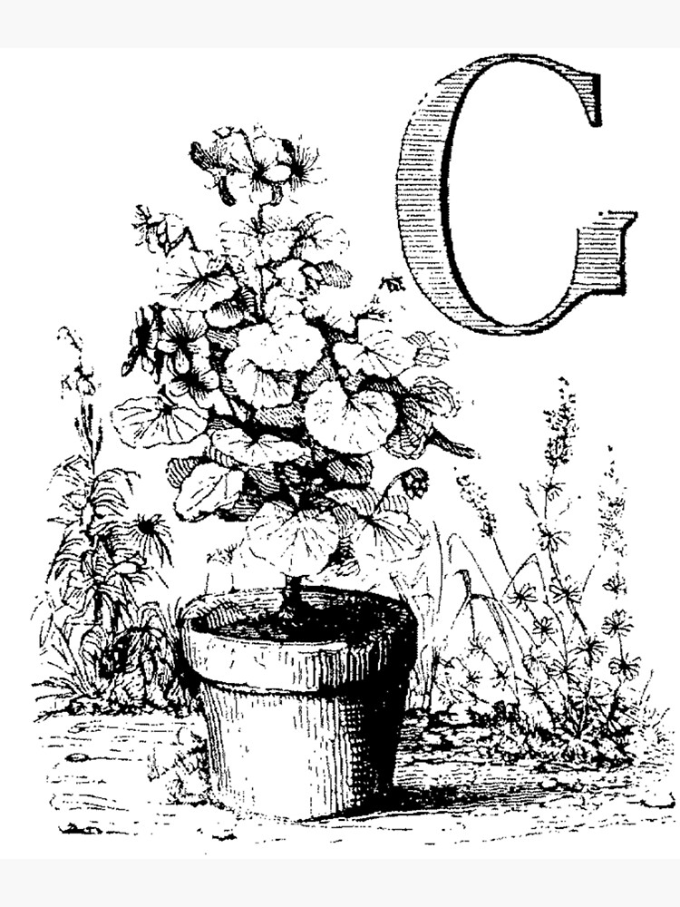 "Garden Alphabet Letter G" Poster by Quill-n-Ink | Redbubble