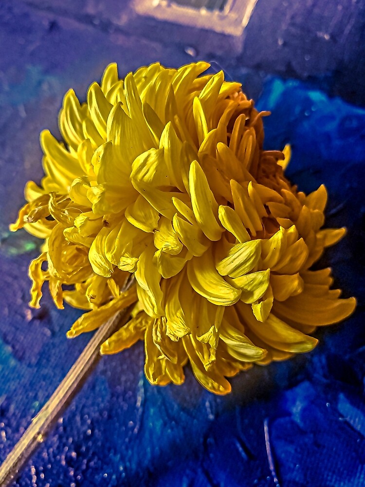 "Flower Tuft" Poster for Sale by GrudleBay | Redbubble