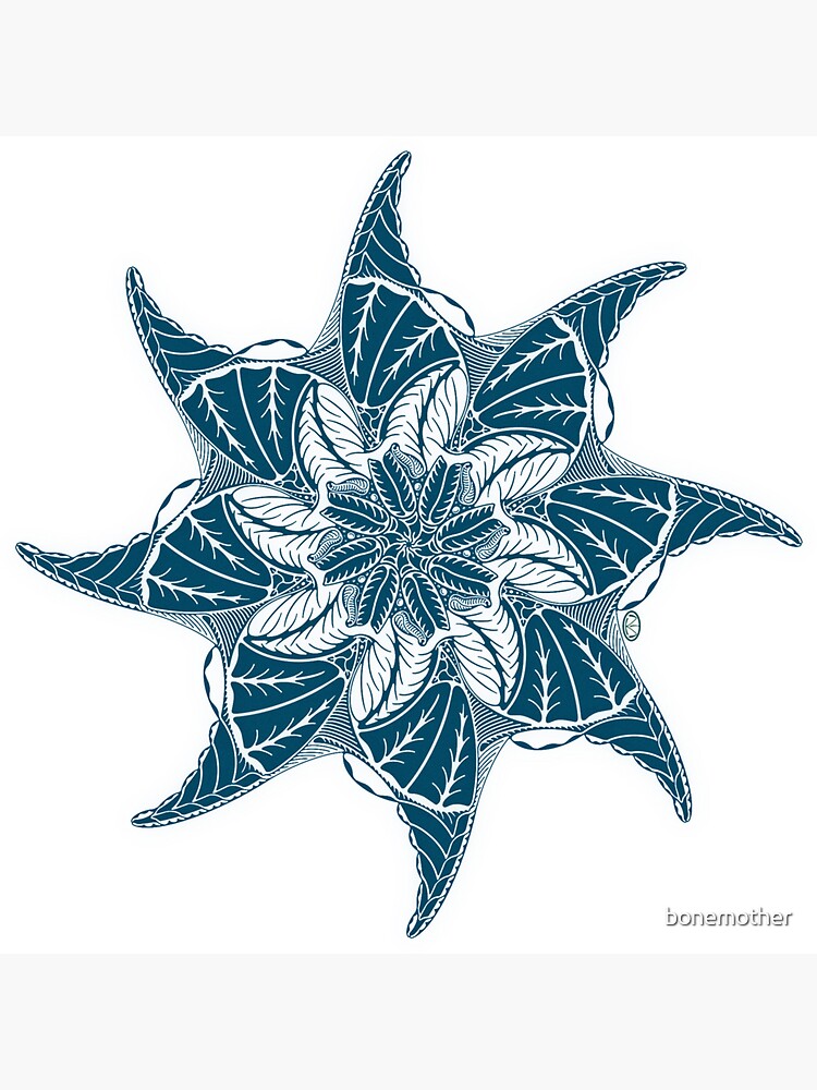 "Spinning Stars" Sticker for Sale by bonemother | Redbubble