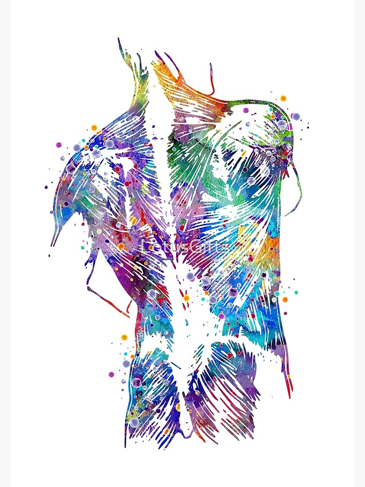 "Human Back With Muscles Blue Purple Watercolor Gift" Poster by ...