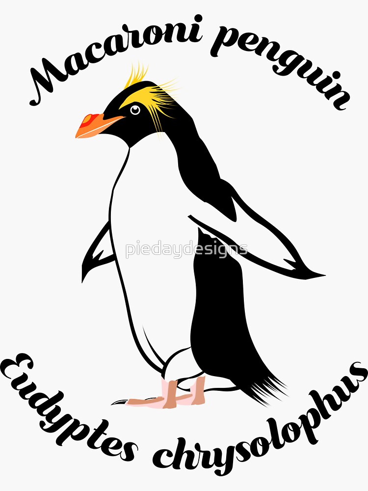 "Macaroni Penguin" Sticker for Sale by piedaydesigns | Redbubble