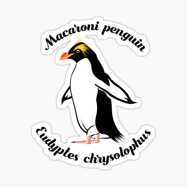 "Macaroni Penguin" Sticker for Sale by piedaydesigns | Redbubble
