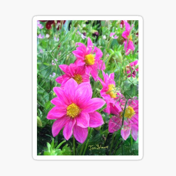 "Cosmos Flower" Sticker for Sale by JonDelorme | Redbubble