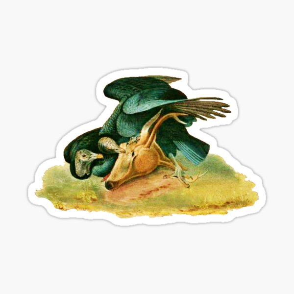 "CLASSIC VINTAGE BLACK VULTURE| VINTAGE CARRION CROW" Sticker for Sale ...