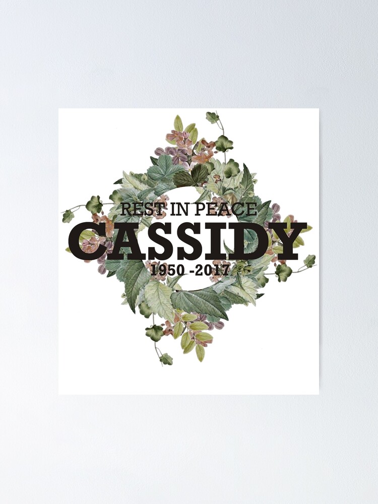 "David Cassidy RIP" Poster by DavidCassidyPop | Redbubble