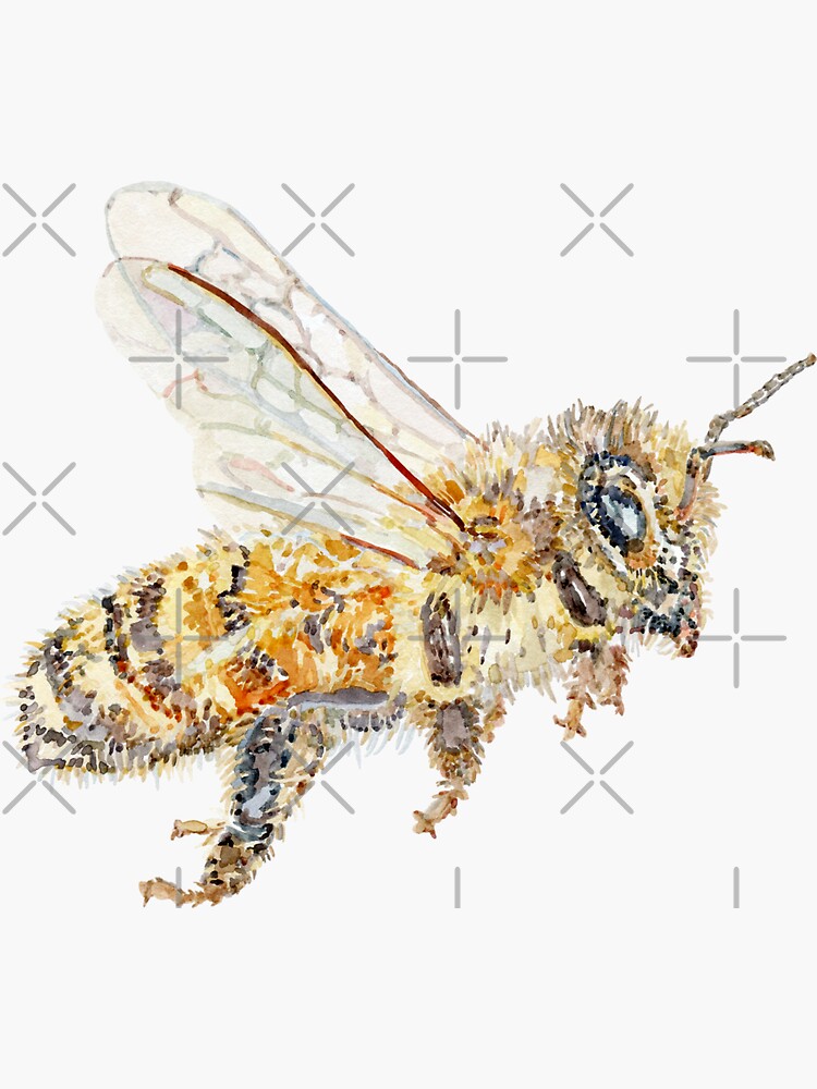 "Sweet Honey Bee" Sticker for Sale by beccaboyce | Redbubble