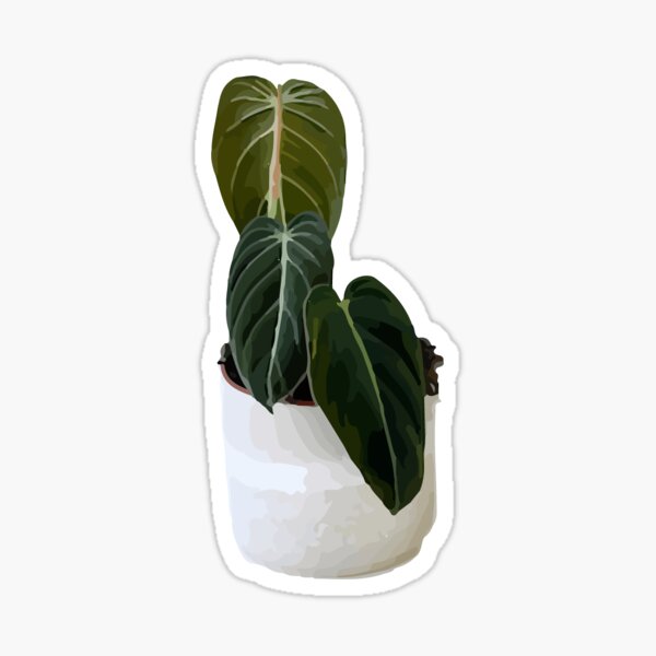 Philodendron Splendid Holographic Vinyl Sticker Paper Stickers etna.com.pe