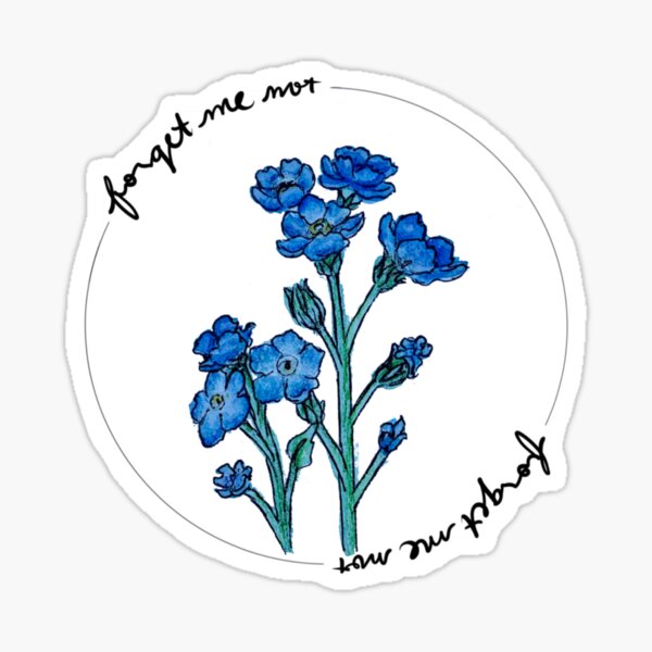 "forget me not watercolor print" Sticker for Sale by dani-sumpter ...