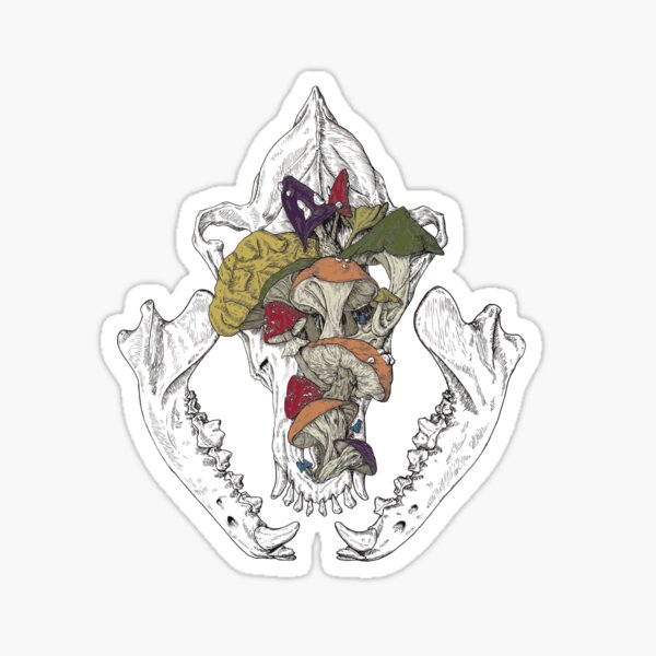 "Decay in colour" Sticker for Sale by CoffeeSpook | Redbubble