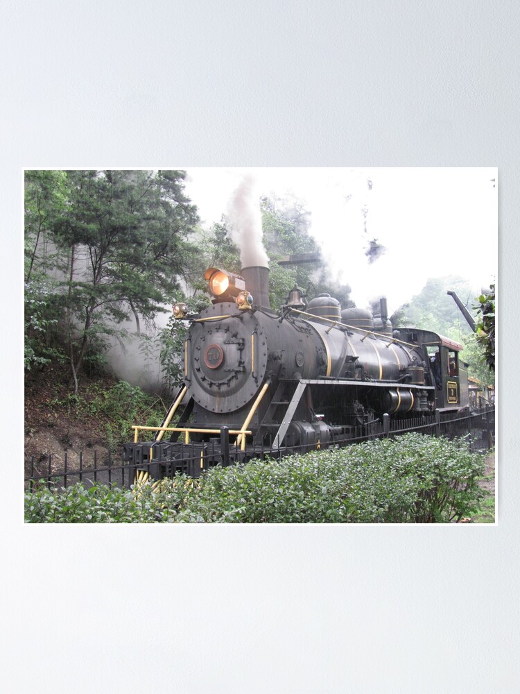 "Dollywood Express" Poster for Sale by FriscoMurph | Redbubble