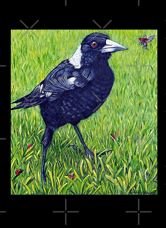"Friendly Magpie" by Linda Callaghan | Redbubble