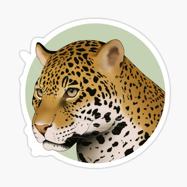 "Jaguar - Yaguareté" Sticker for Sale by Diversity-illus | Redbubble