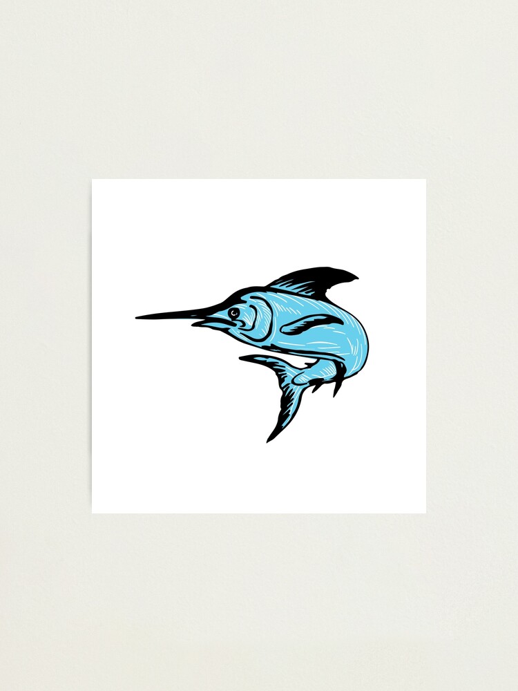 "Blue Marlin Fish Jumping Drawing" Photographic Print by patrimonio ...