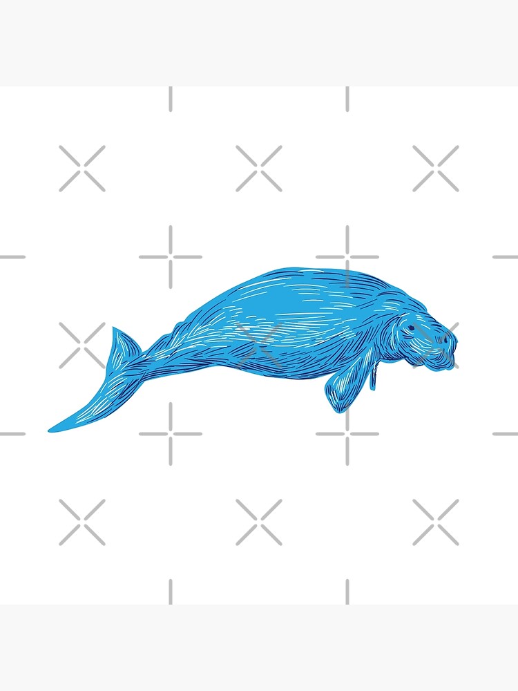 How To Draw A Dugong Step By Step
