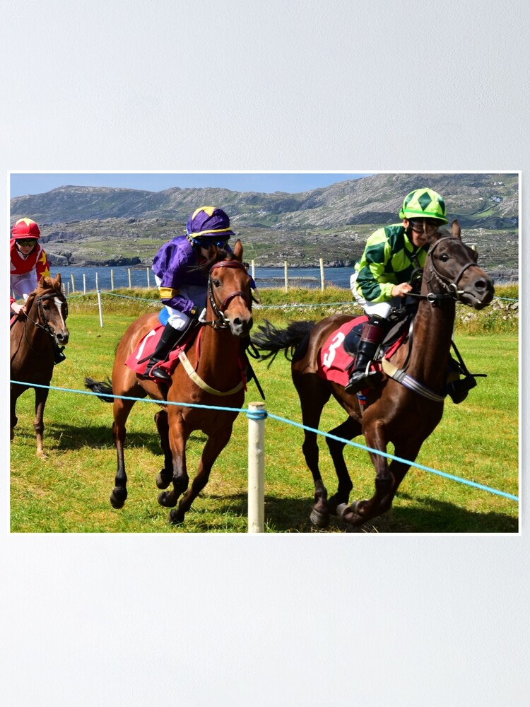 "A day at the races" Poster for Sale by JurassicJohn | Redbubble