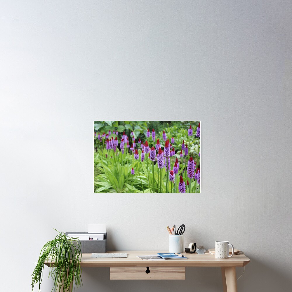 "Field of Flowers" Poster by Jenna-Grieve | Redbubble